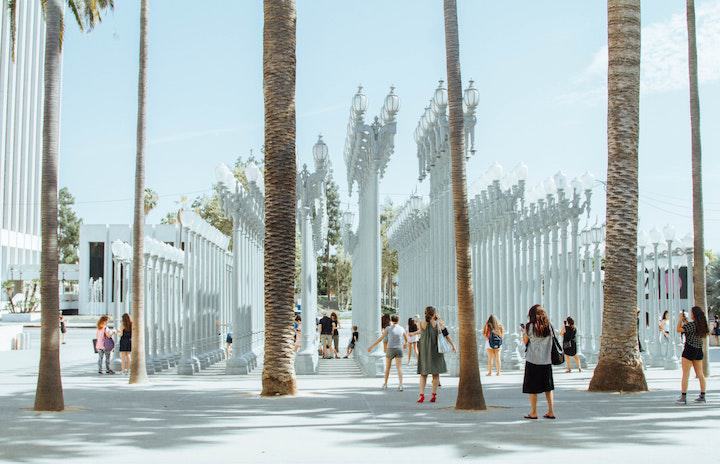 Facts About the LACMA — Linea Apartments