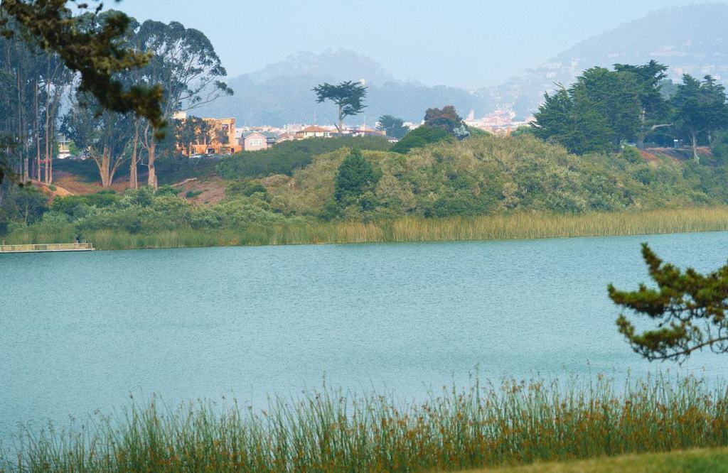 Westlake Apartments Amenities - Laundry, Parking, Pet-Friendly & More