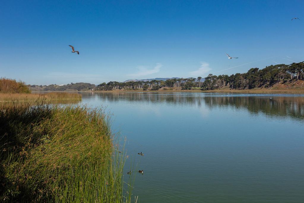 Spotlight on Lake Merced - The Great Outdoors in Daly City