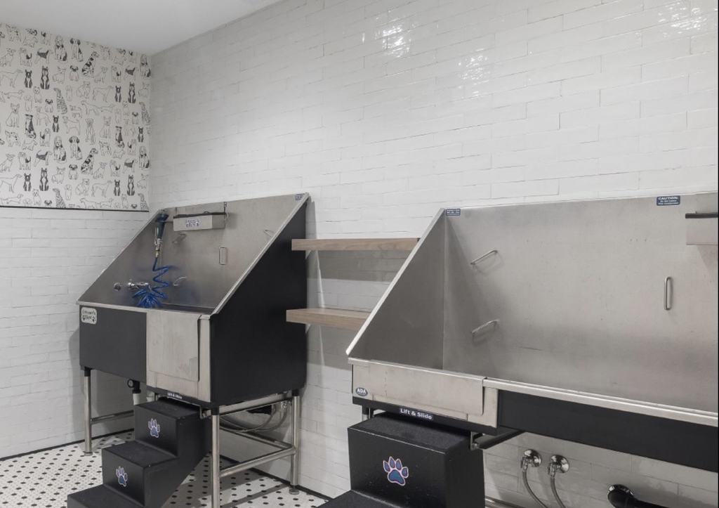 First HIll Seattle Apartments with Pet Spa / Dog Wash - The Victor